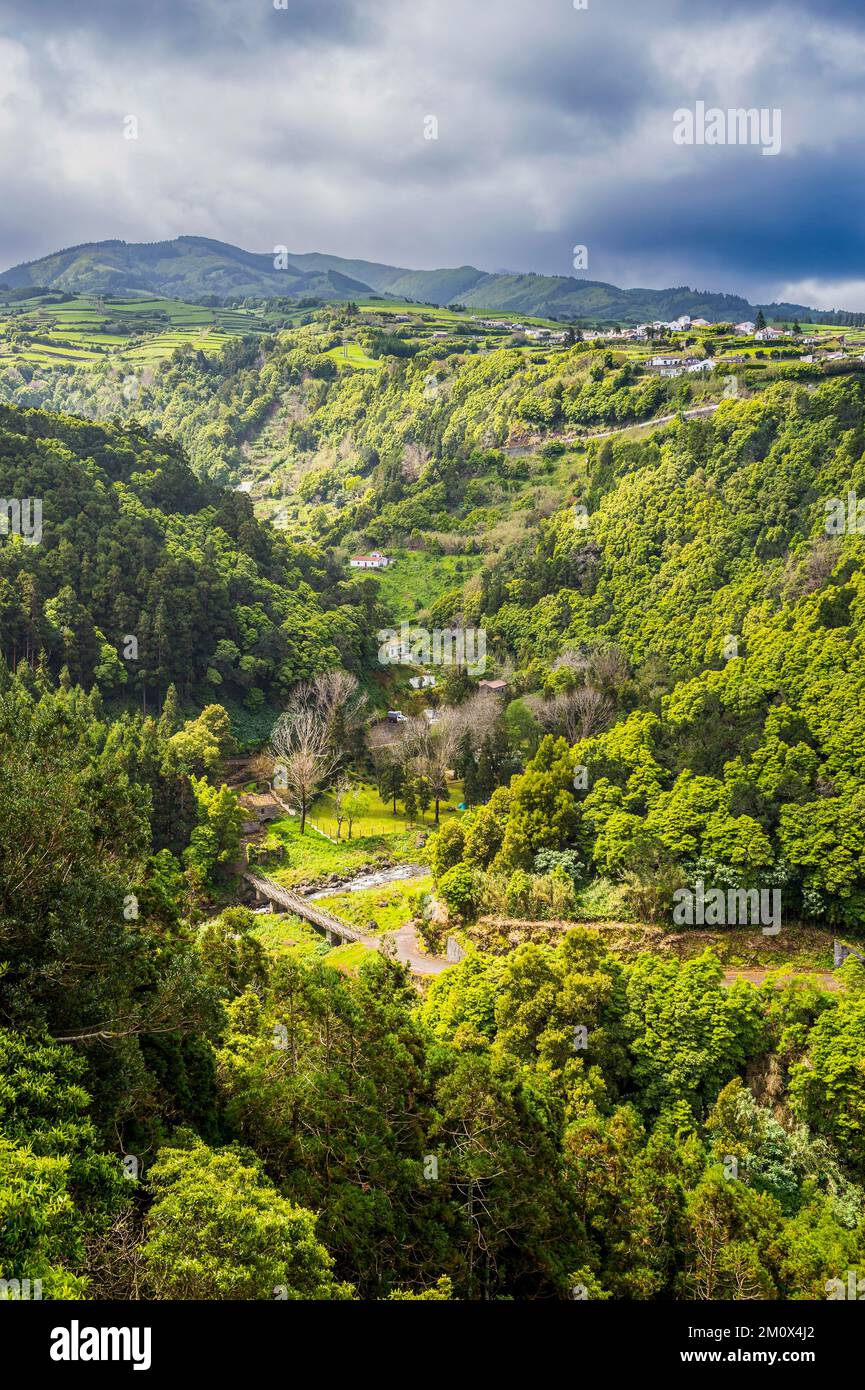 Beautiful valley in Achada, Island of Sao Miguel, Azores, Portugal ...