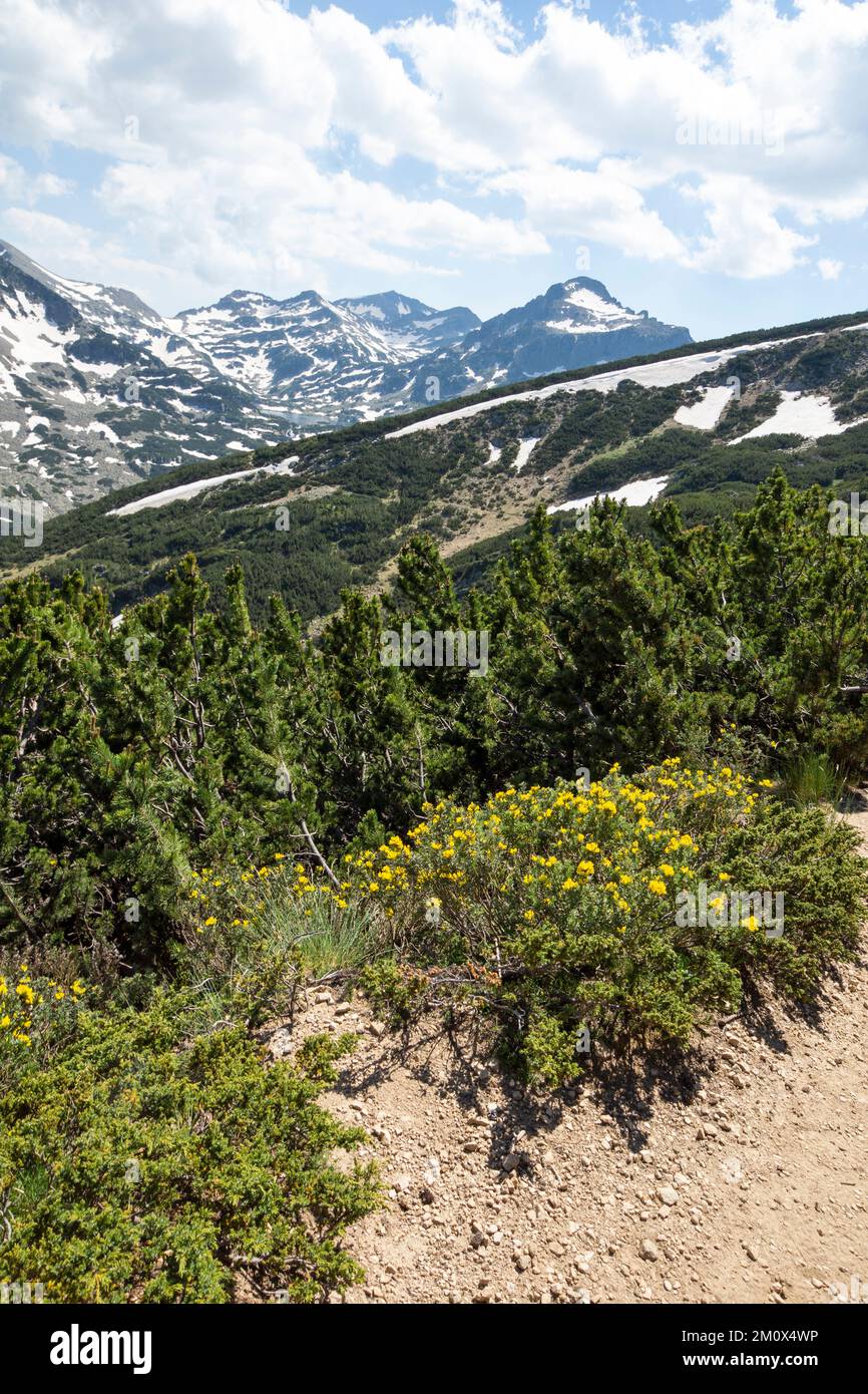 Amazing Summer Landscape of Pirin Mountain near Bezbog Lake, Bulgaria ...