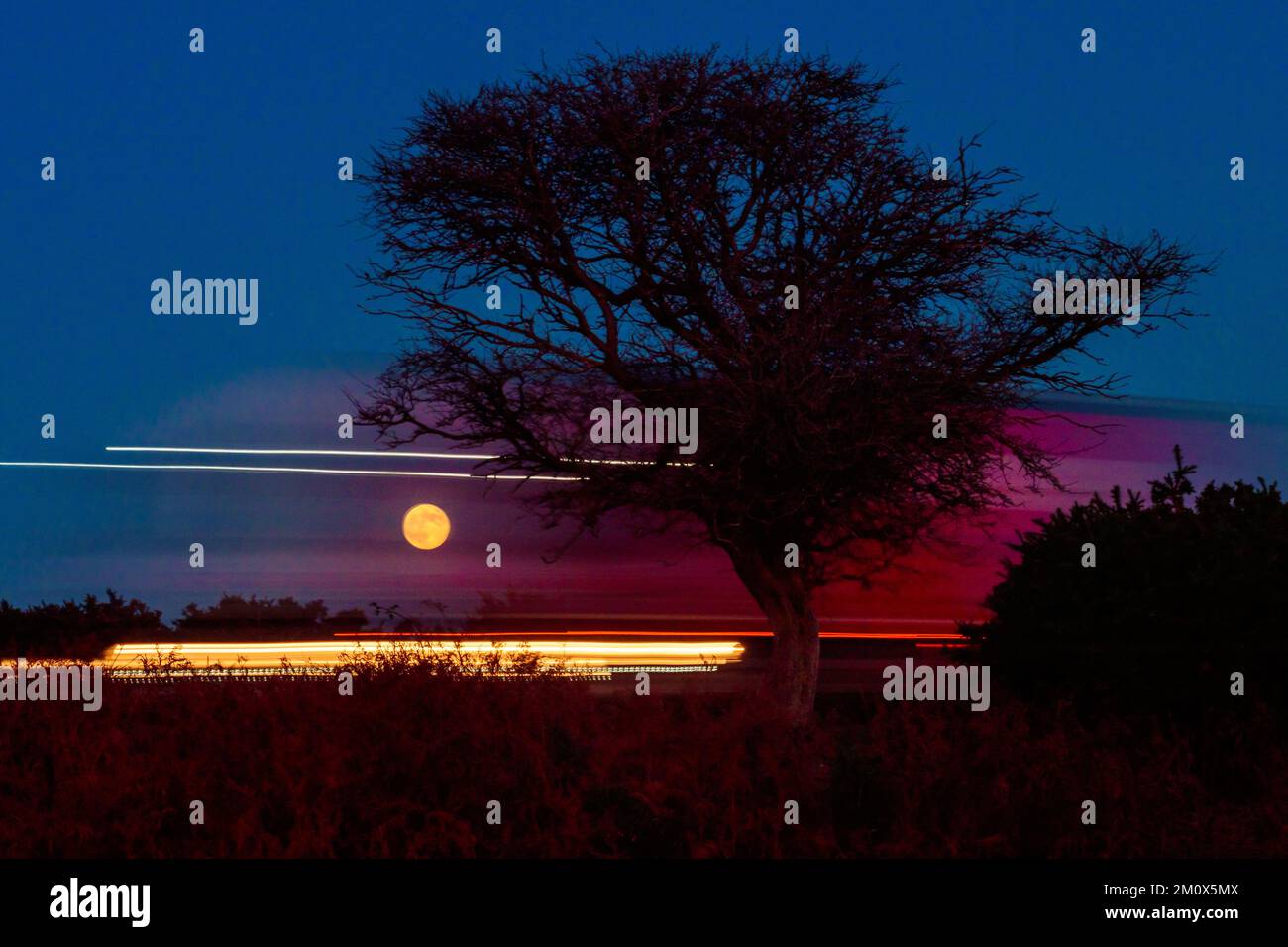 Slow motion moon shot full hi-res stock photography and images - Alamy