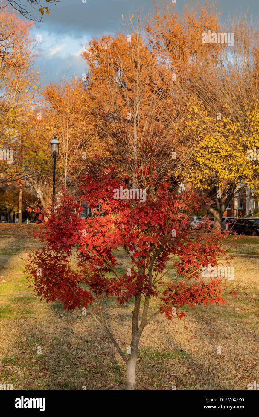 Richmond virginia libby hill park hi-res stock photography and images ...