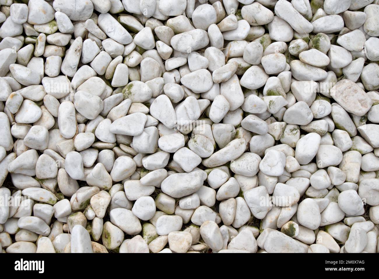 Background texture consist of full of little pebbles Stock Photo - Alamy