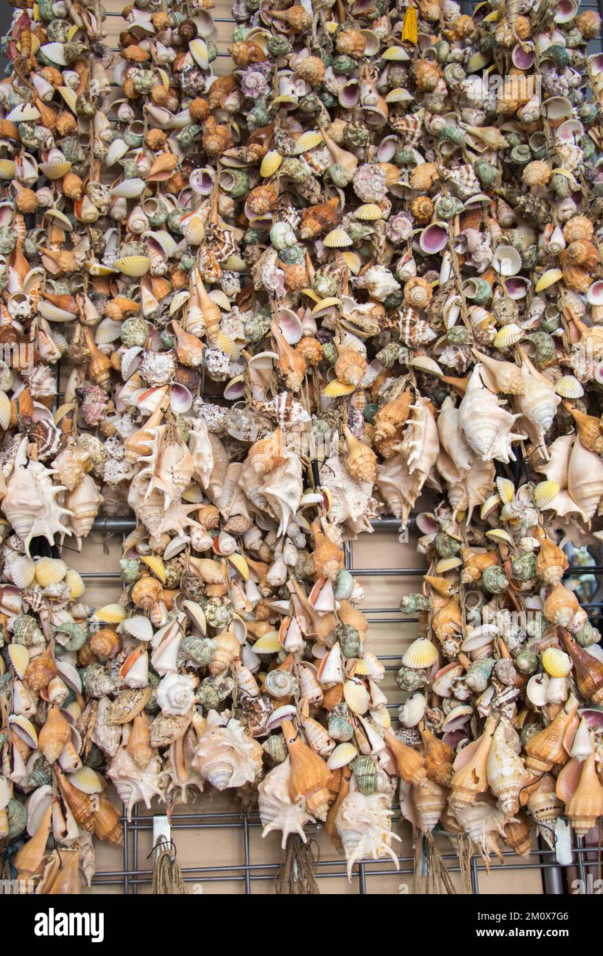 Various types of little seashells attached on a net Stock Photo - Alamy