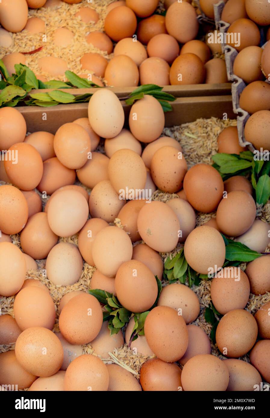 Organic fresh farm eggs at the market place Stock Photo - Alamy