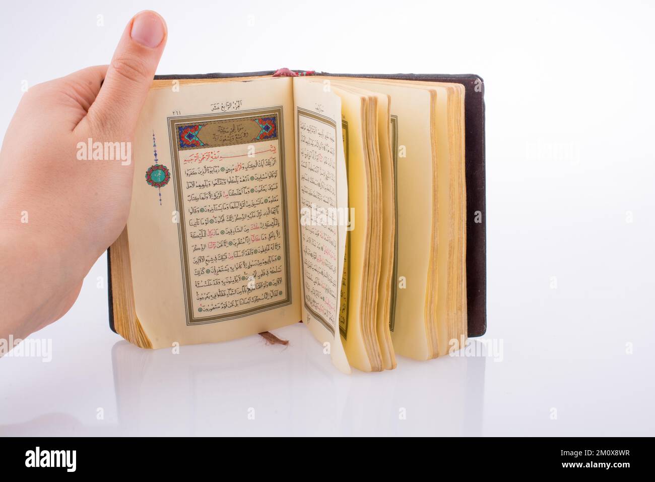 Hand holding The Holy Quran on a white background Stock Photo - Alamy