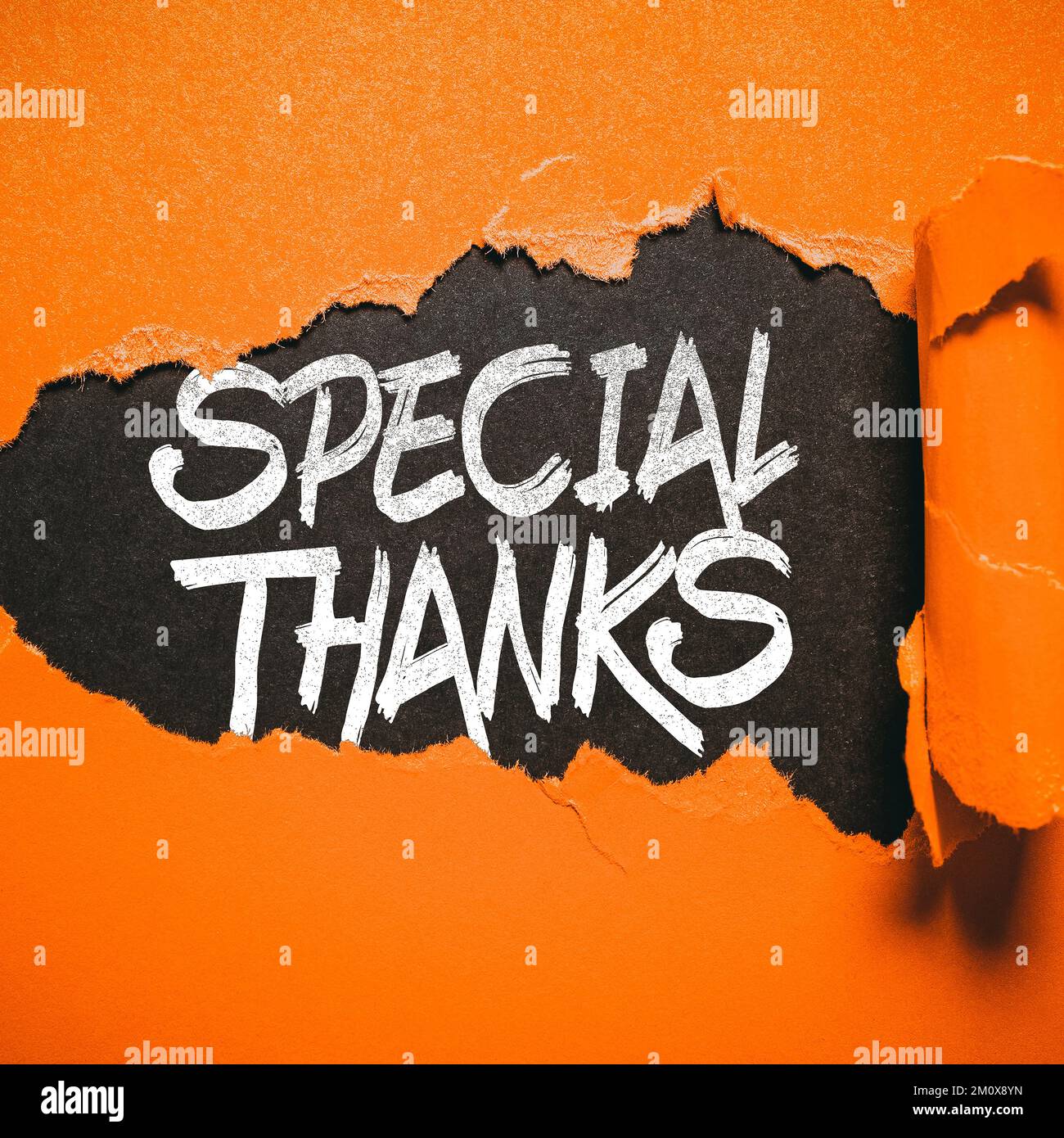 Handwriting text Special Thanks, Business concept expression of ...