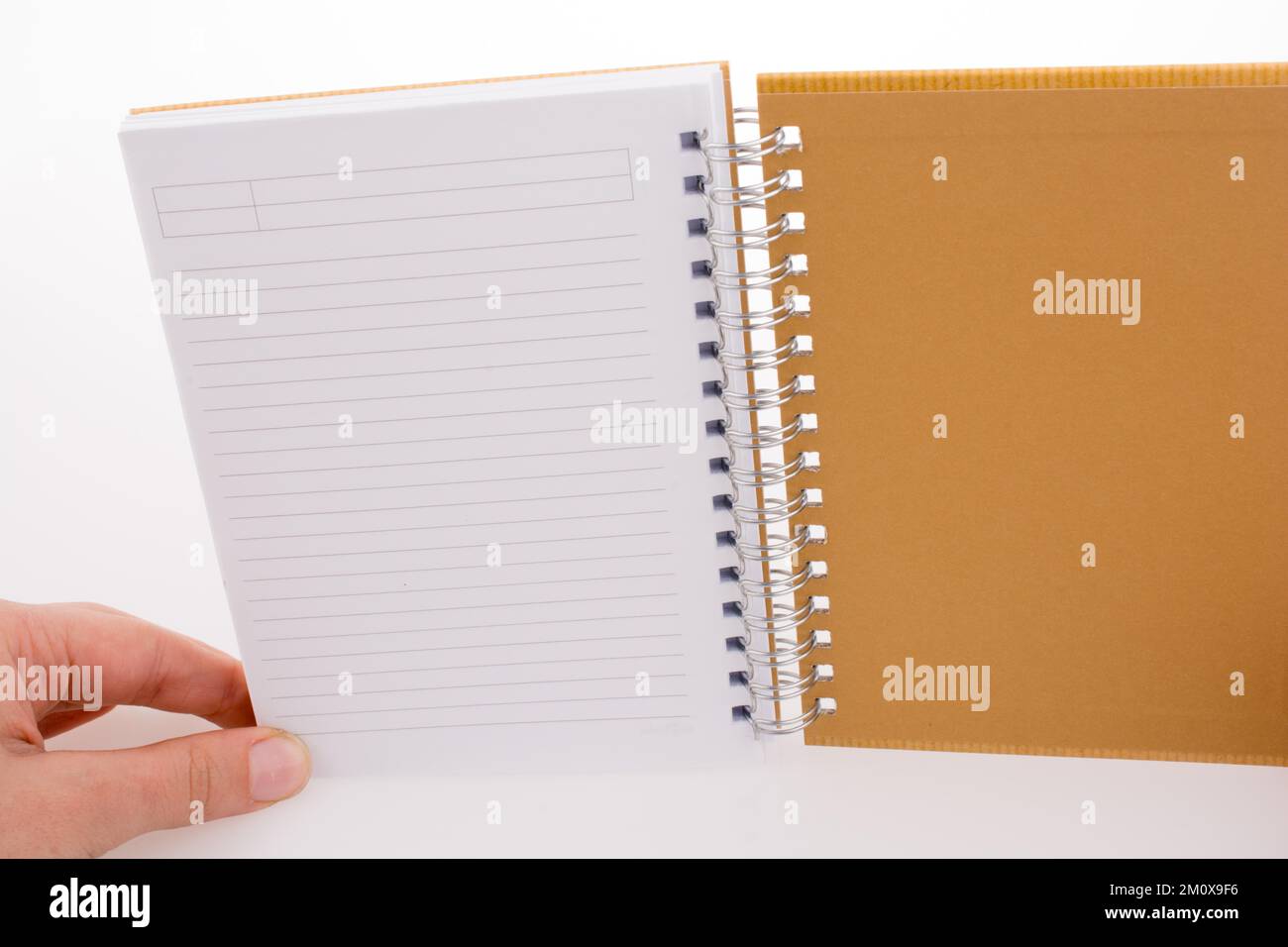 Hand holding a notebook on a white background Stock Photo - Alamy