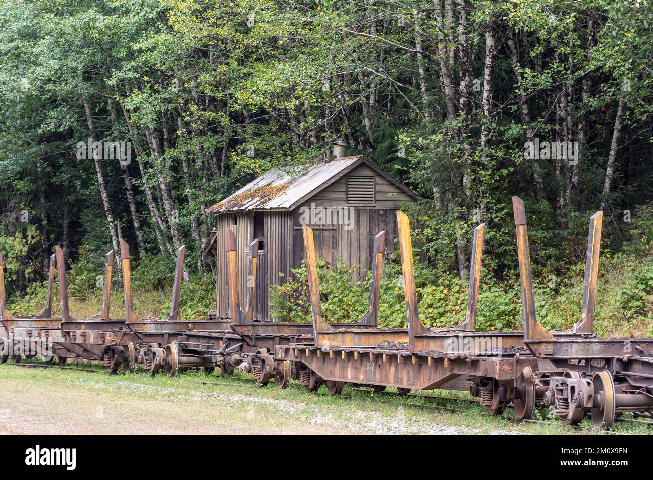 A view of old logging railway cars and tracks in the woods with an old ...