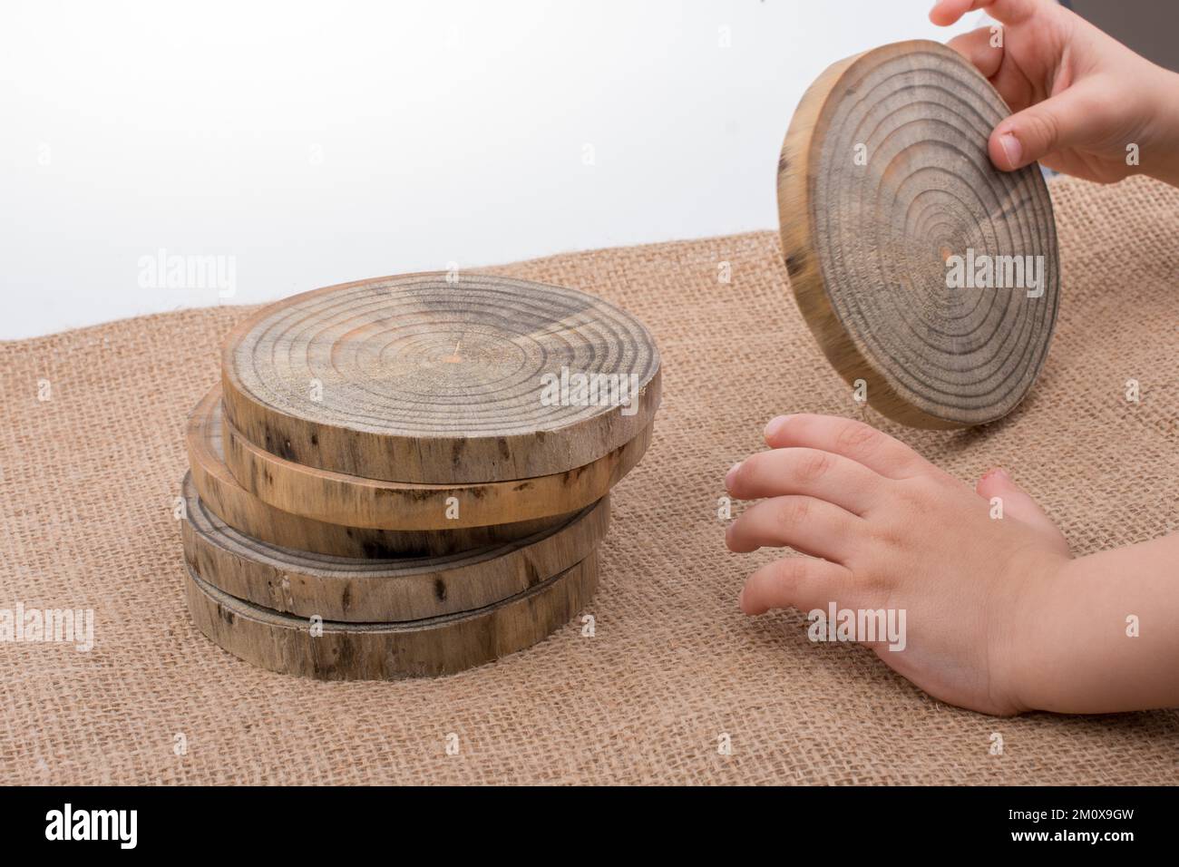 Wood Log cut in round thin pieces in hand Stock Photo - Alamy
