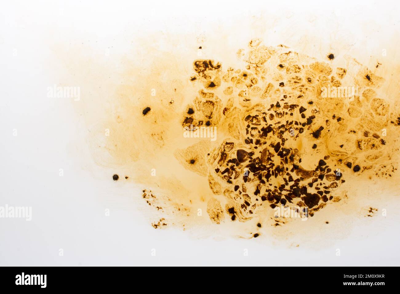 Coffe slowly dissolve in the hot water Stock Photo - Alamy