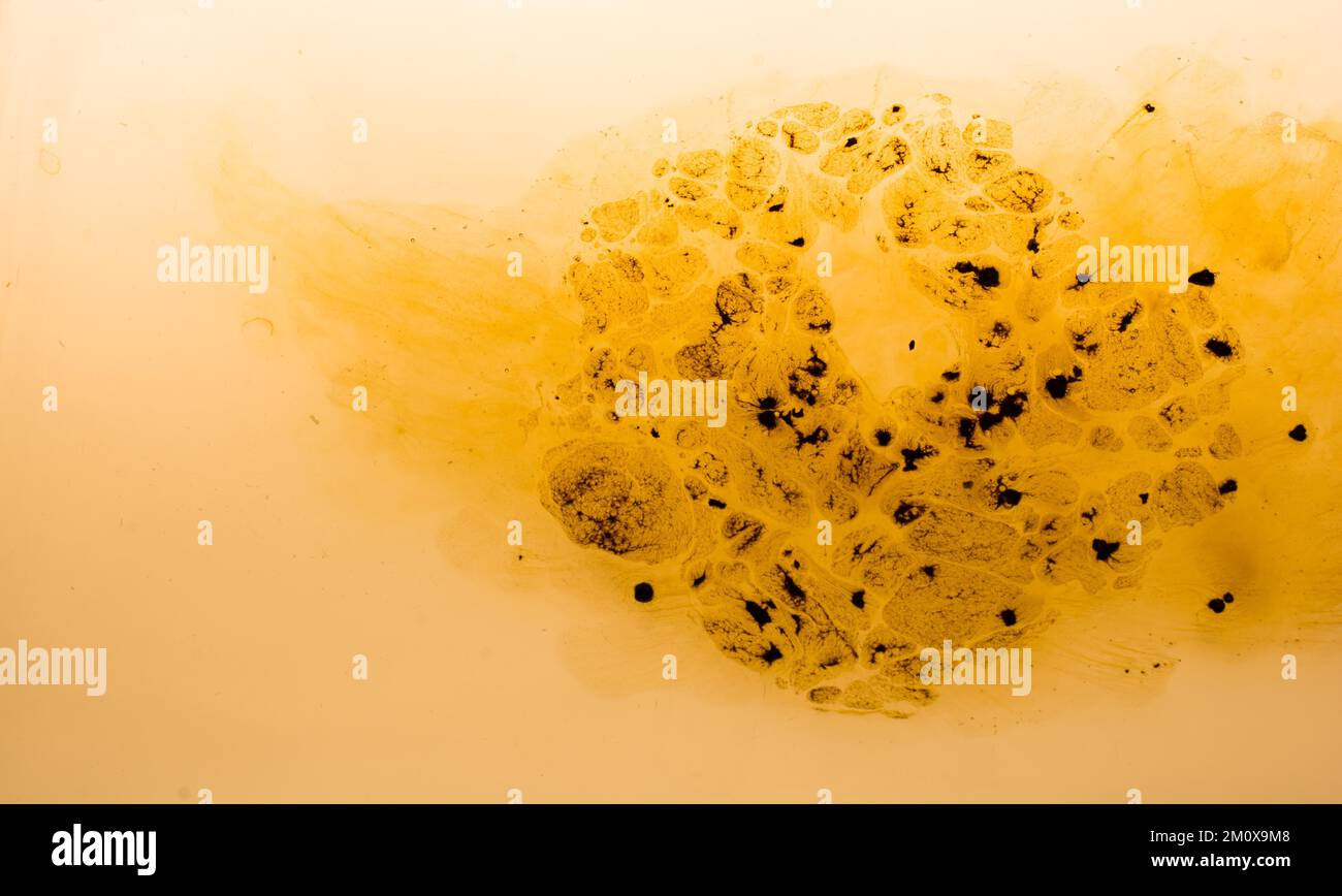 Coffe slowly dissolve in the hot water Stock Photo - Alamy