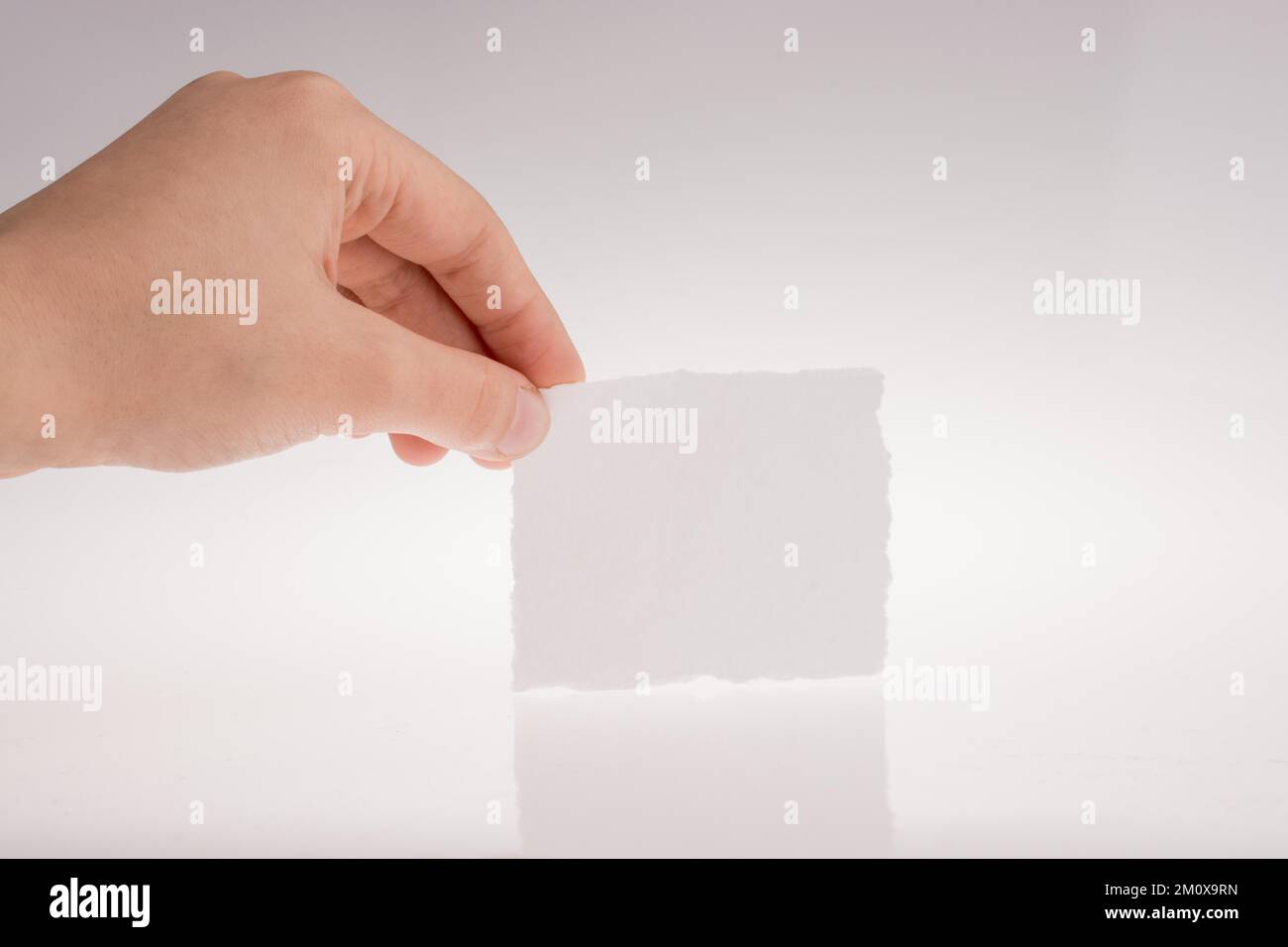 Hand holding a torn piece of paper on a white background Stock Photo ...