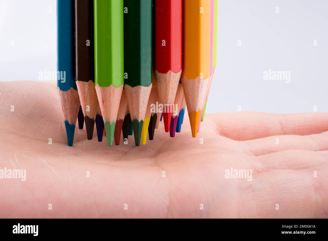 Hand holdin color pencils on a white background Stock Photo - Alamy