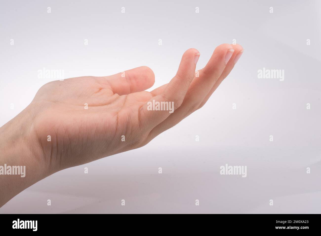 Hand holding on a white background Stock Photo - Alamy