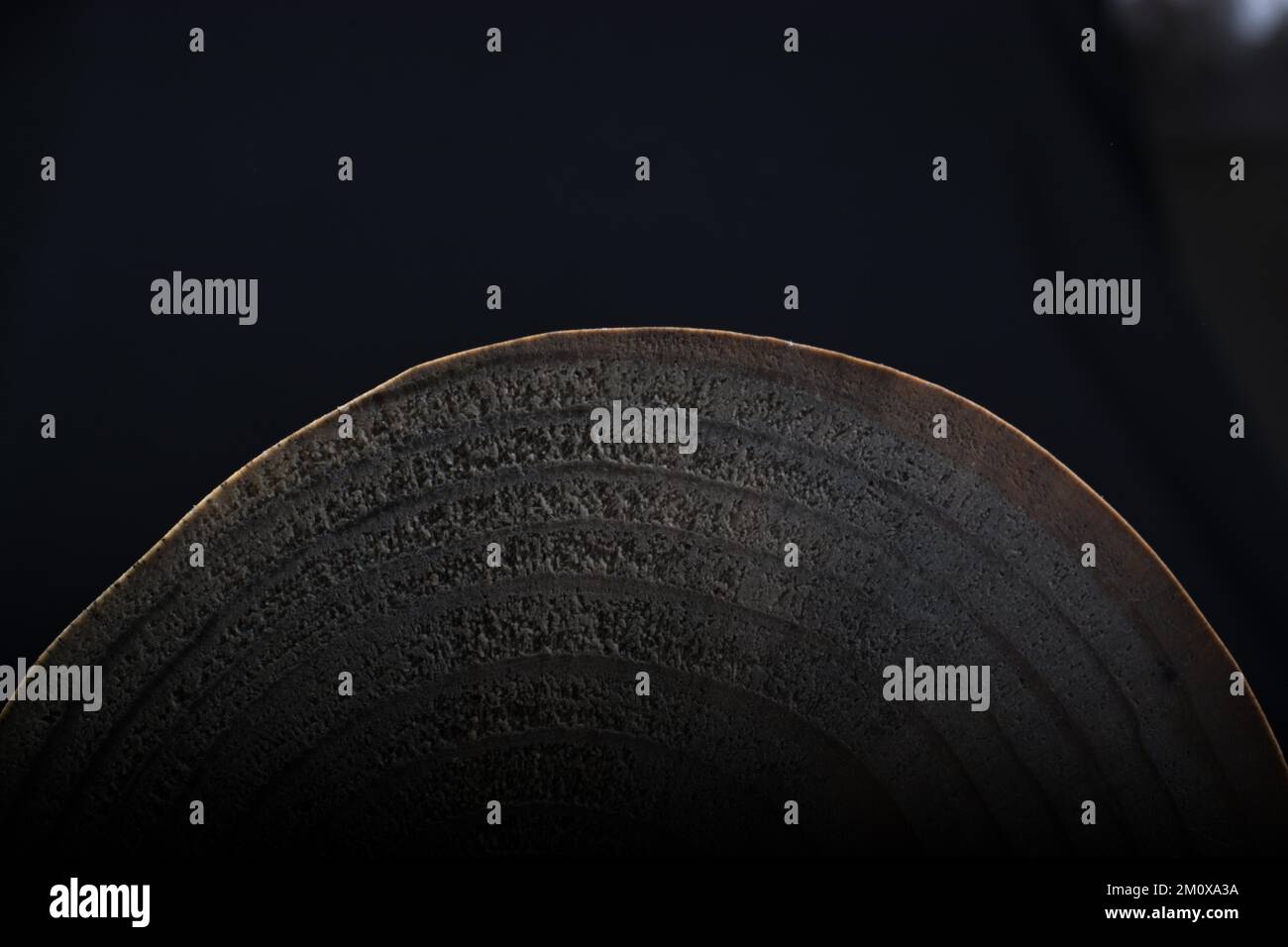 Piece of cut wood log texture as background Stock Photo - Alamy