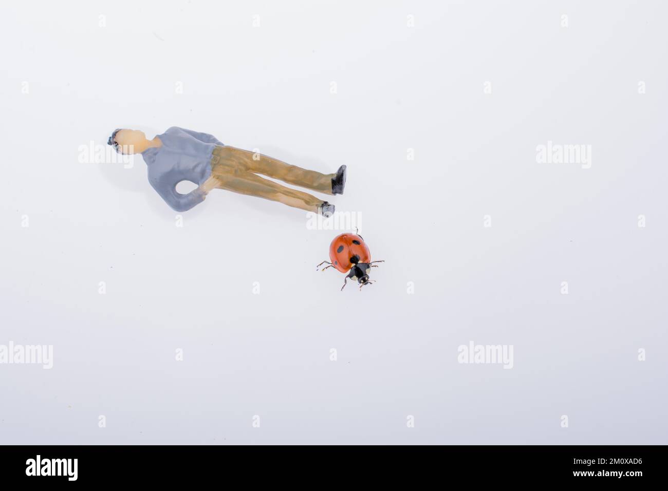 Ladybug walking on body of figurine man Stock Photo - Alamy