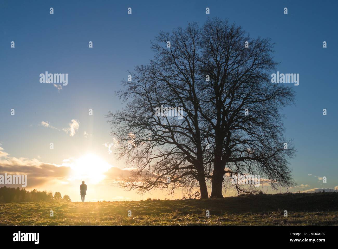 Old man standing at sunset hi-res stock photography and images - Alamy