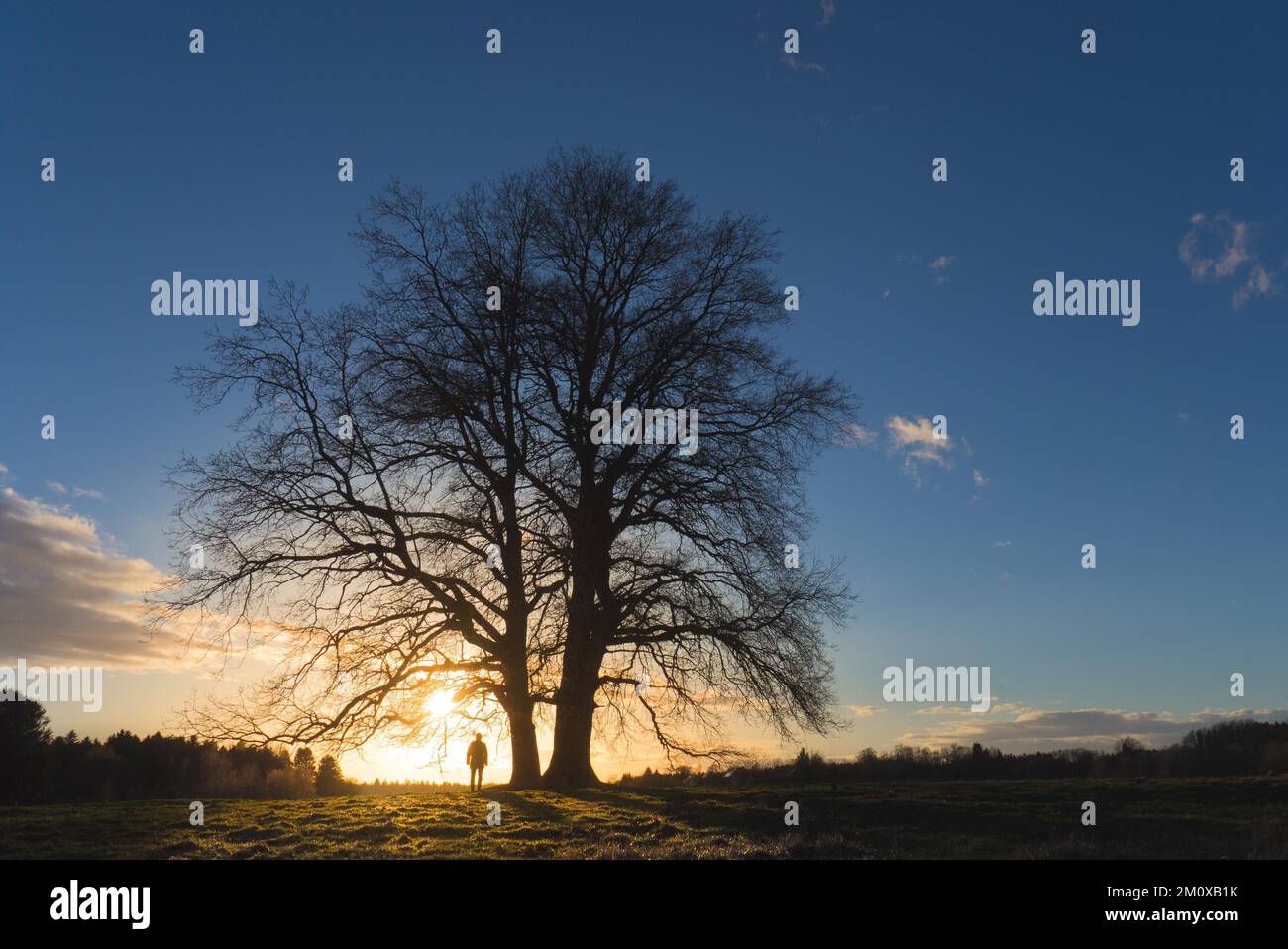 Old man standing at sunset hi-res stock photography and images - Alamy