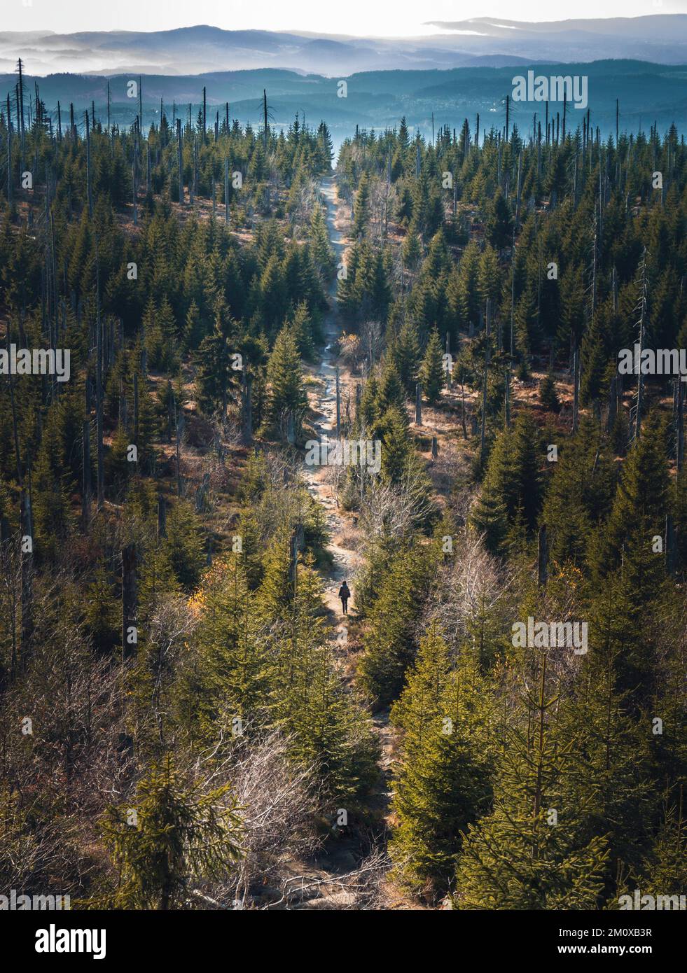 Lonesome hiker in mountain landscape. Bavarian Forest, Germany, Europe ...