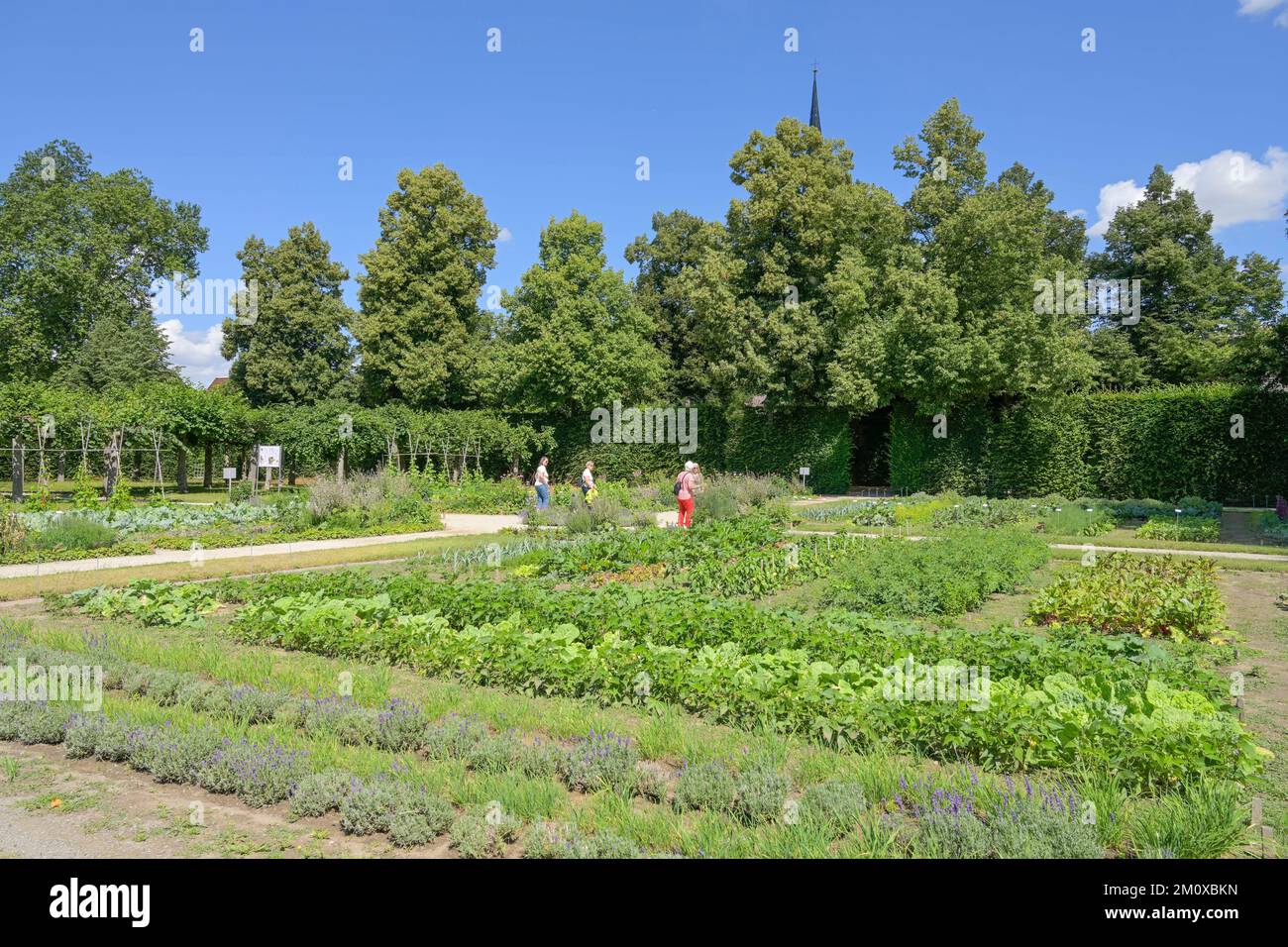 Palace kitchen garden hi-res stock photography and images - Alamy