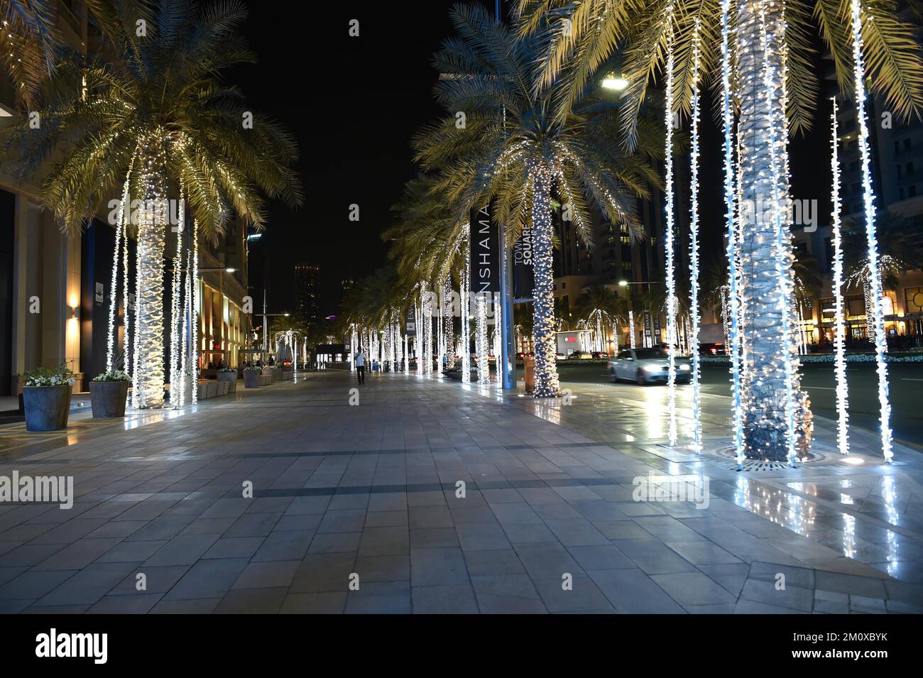 Dubai, illuminated palm trees at night, United Arab Emirates, Asia ...