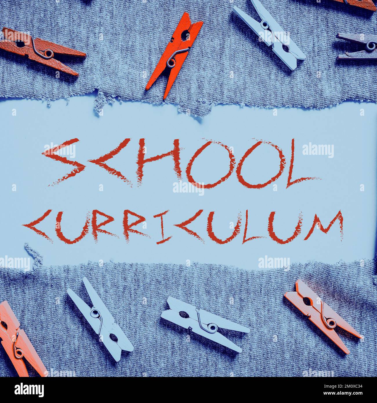 Text sign showing School Curriculum. Internet Concept designed to ...