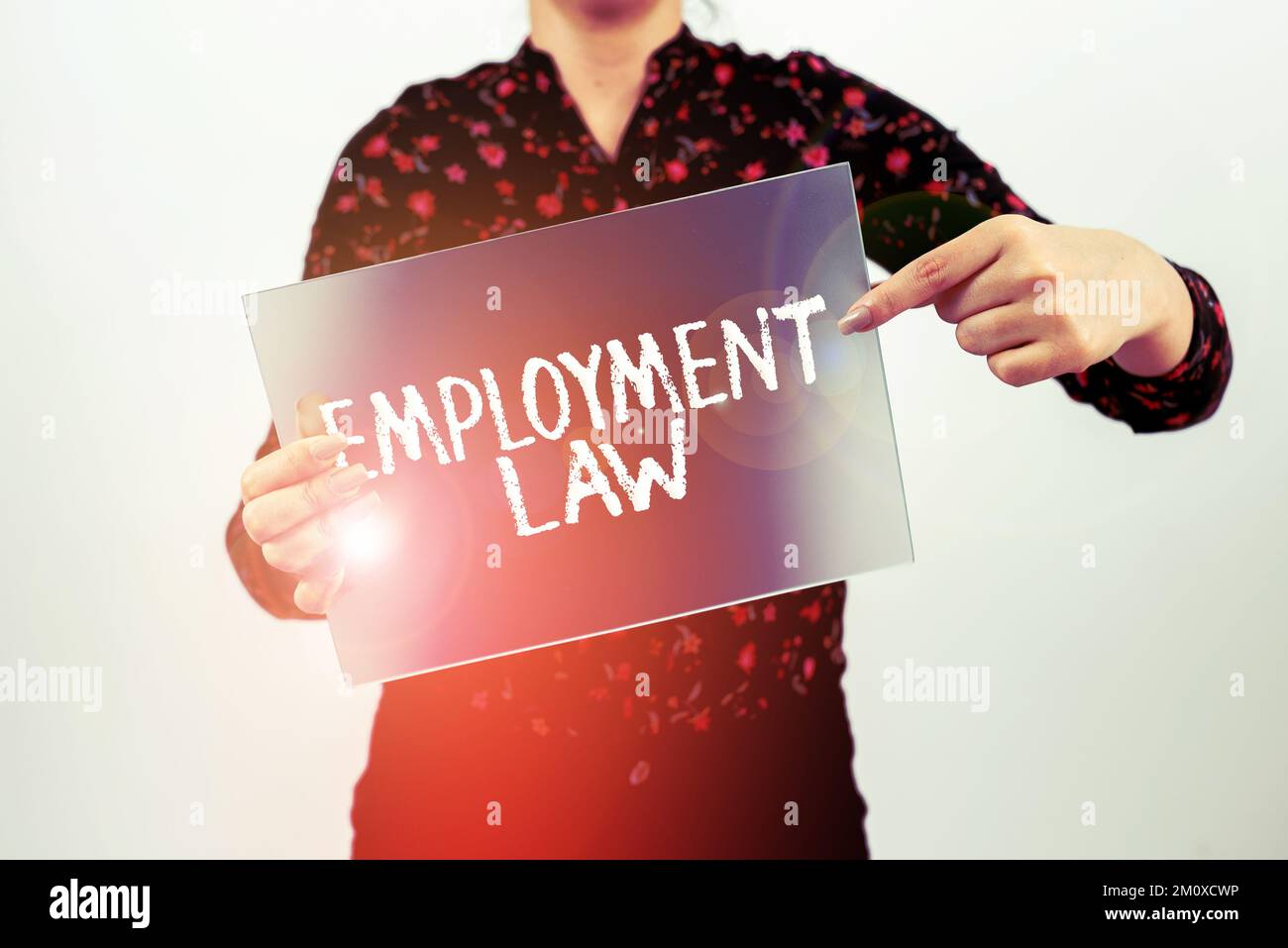 Sign displaying Employment Law, Business idea deals with legal rights ...