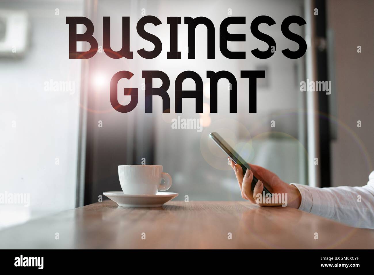 Text showing inspiration Business Grant, Word for Working strategies ...