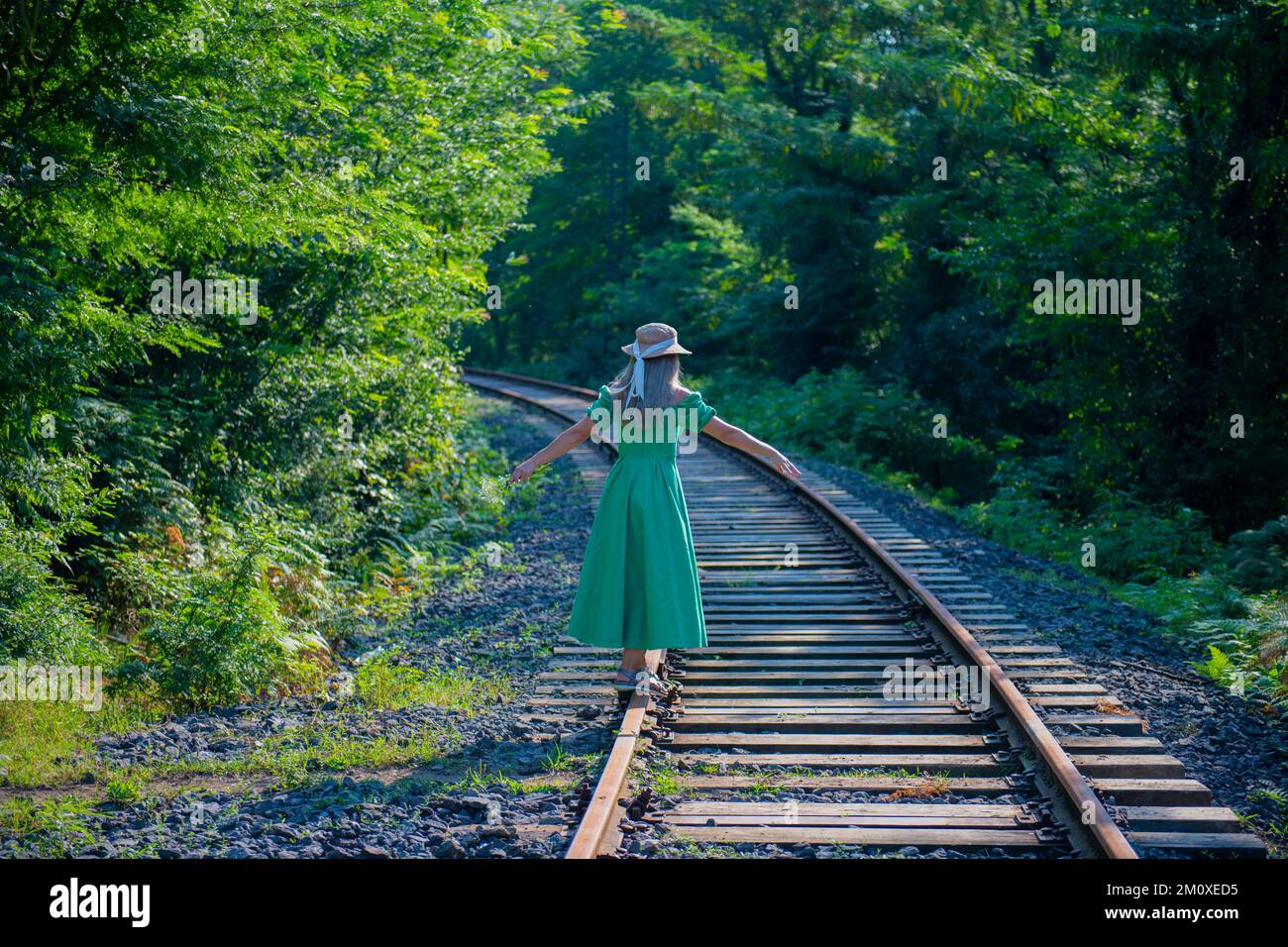 Railway in nature hi-res stock photography and images - Alamy