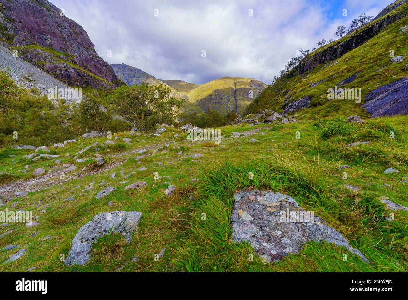 Hidden kingdom hi-res stock photography and images - Alamy