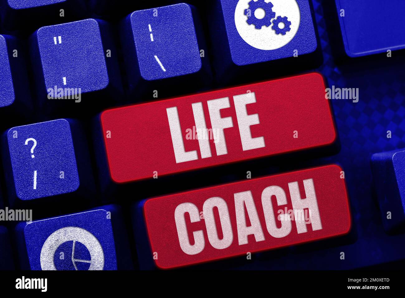 Text sign showing Life Coach, Internet Concept A person who advices ...