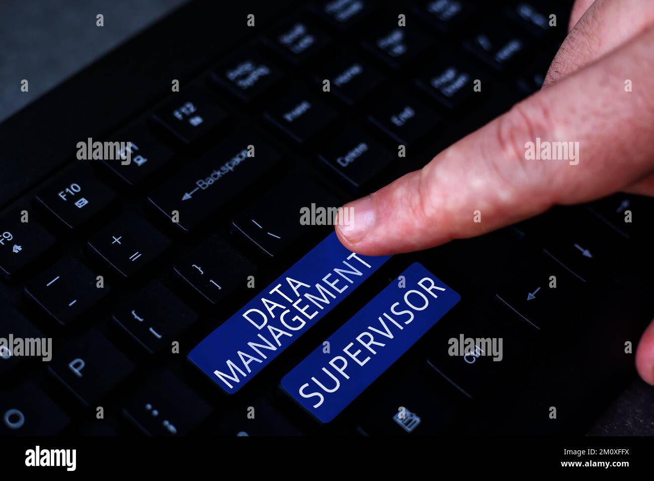 Conceptual caption Data Management Supervisor. Business idea ensuring the efficient and ...