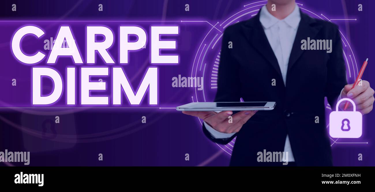 Text sign showing Carpe Diem. Business concept public festival which ...
