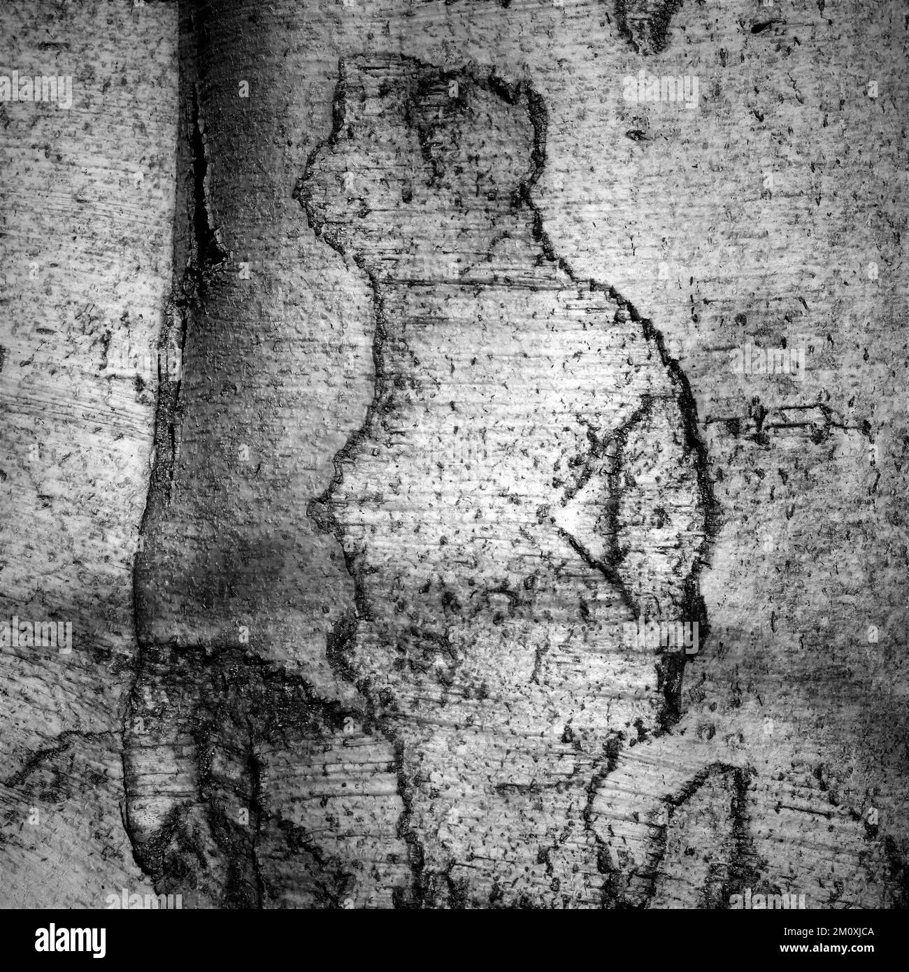 Abstract photograph with a limited palette of muted colour showing ...