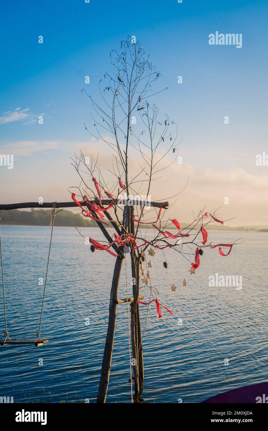 A vertical shot of a wooden swing and a tree with red ribbons on the ...