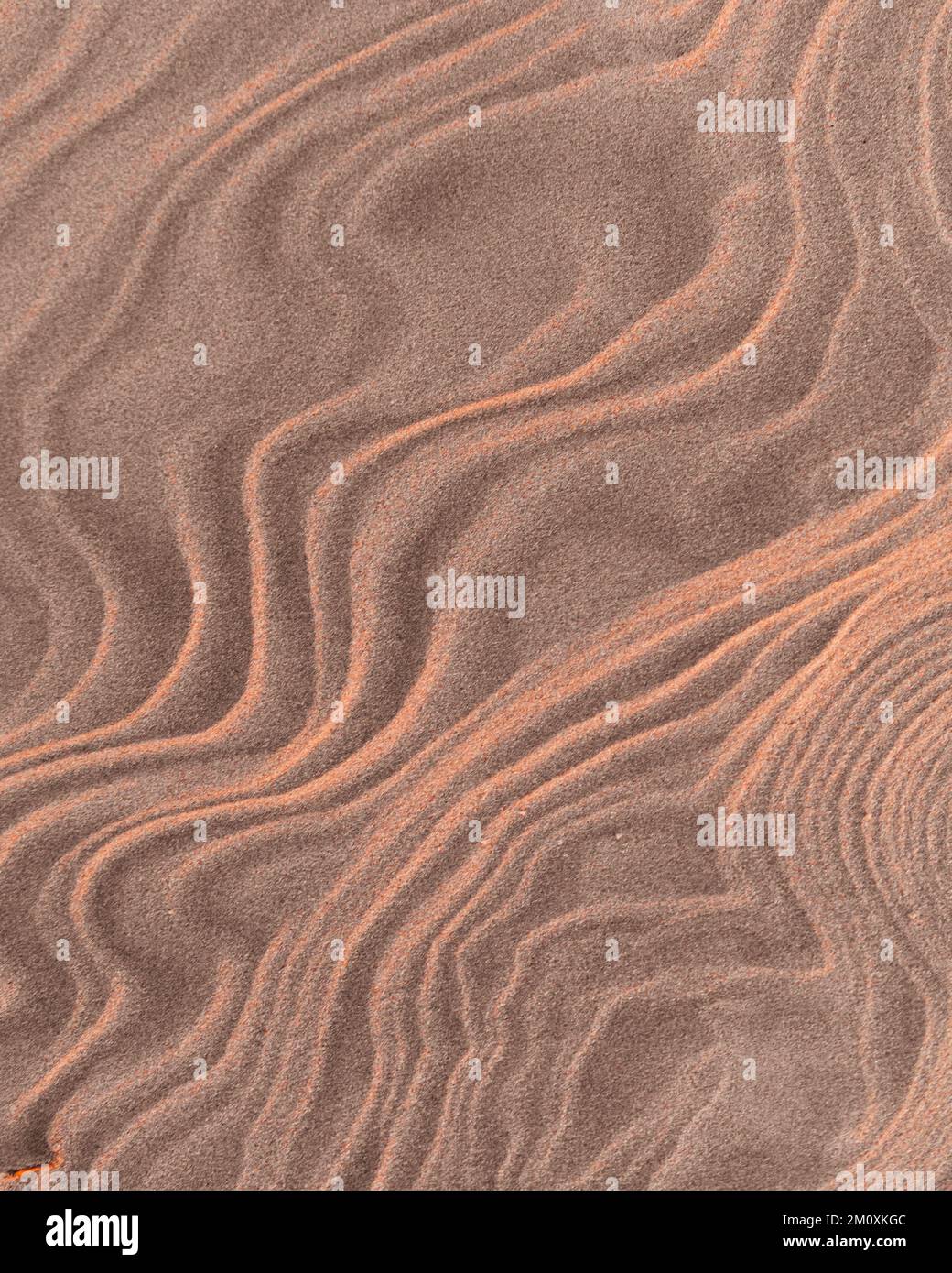 A beautiful scene of Rabjerg Mile coastal dune in Skagen, Denmark with ...