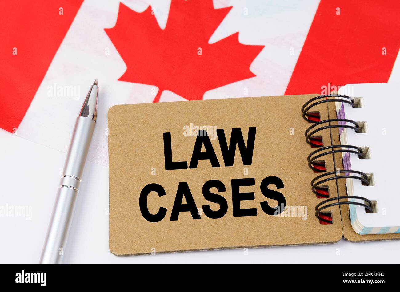 Law and justice concept. Against the background of the flag of Canada ...