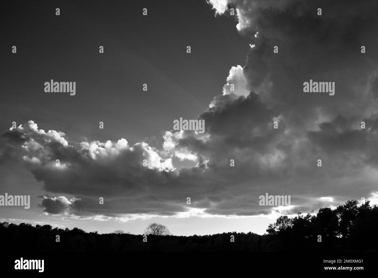 Black and white photograph of giant storm cloud in Spring on Cannock ...