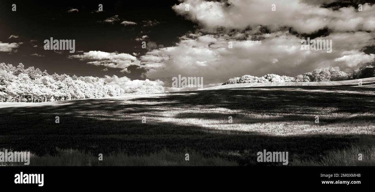 Fine Art Black and white photograph of billowing clouds above sleepy ...