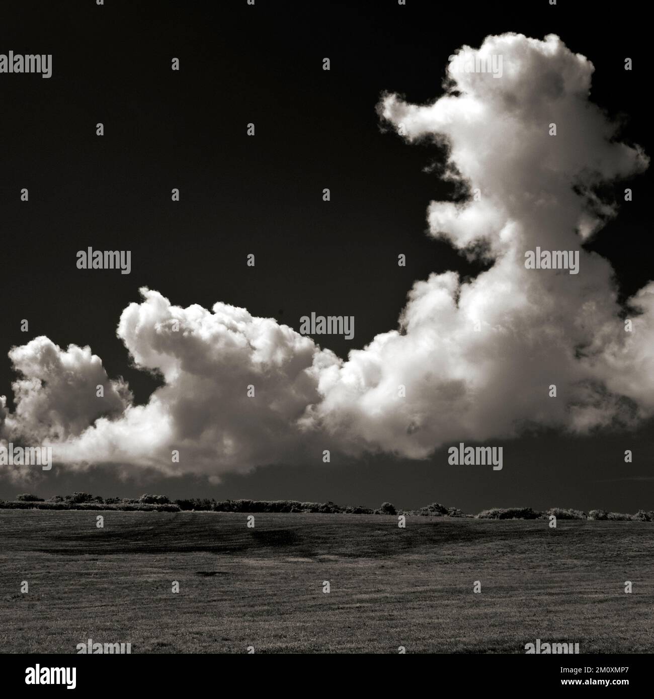Fine art black and white photograph of Face in billowing white clouds ...