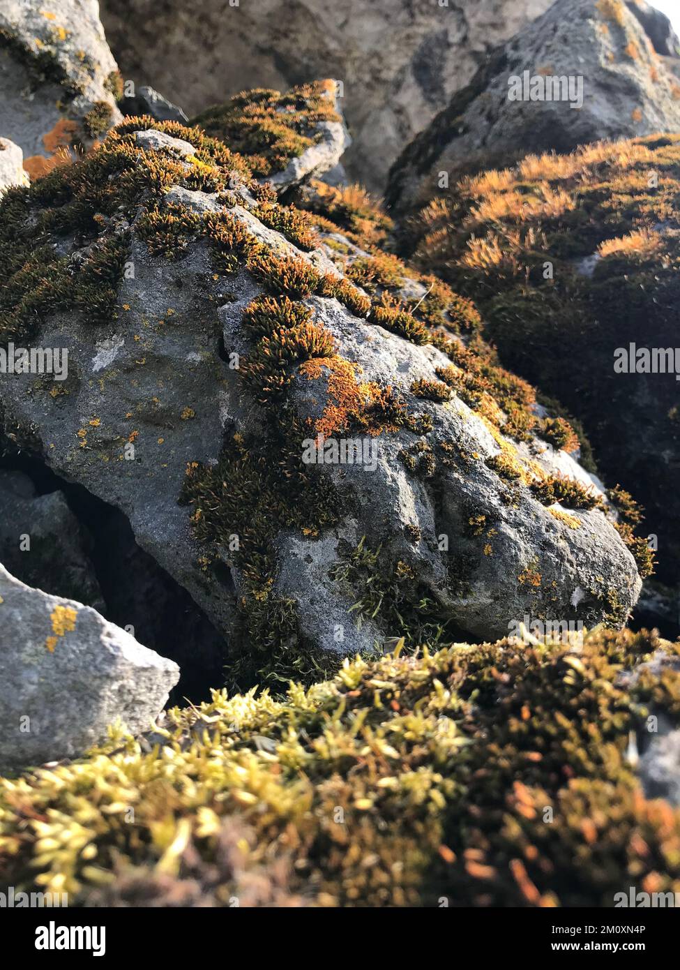 A closeup of huge rocks covered with moss and grass under the sun Stock ...