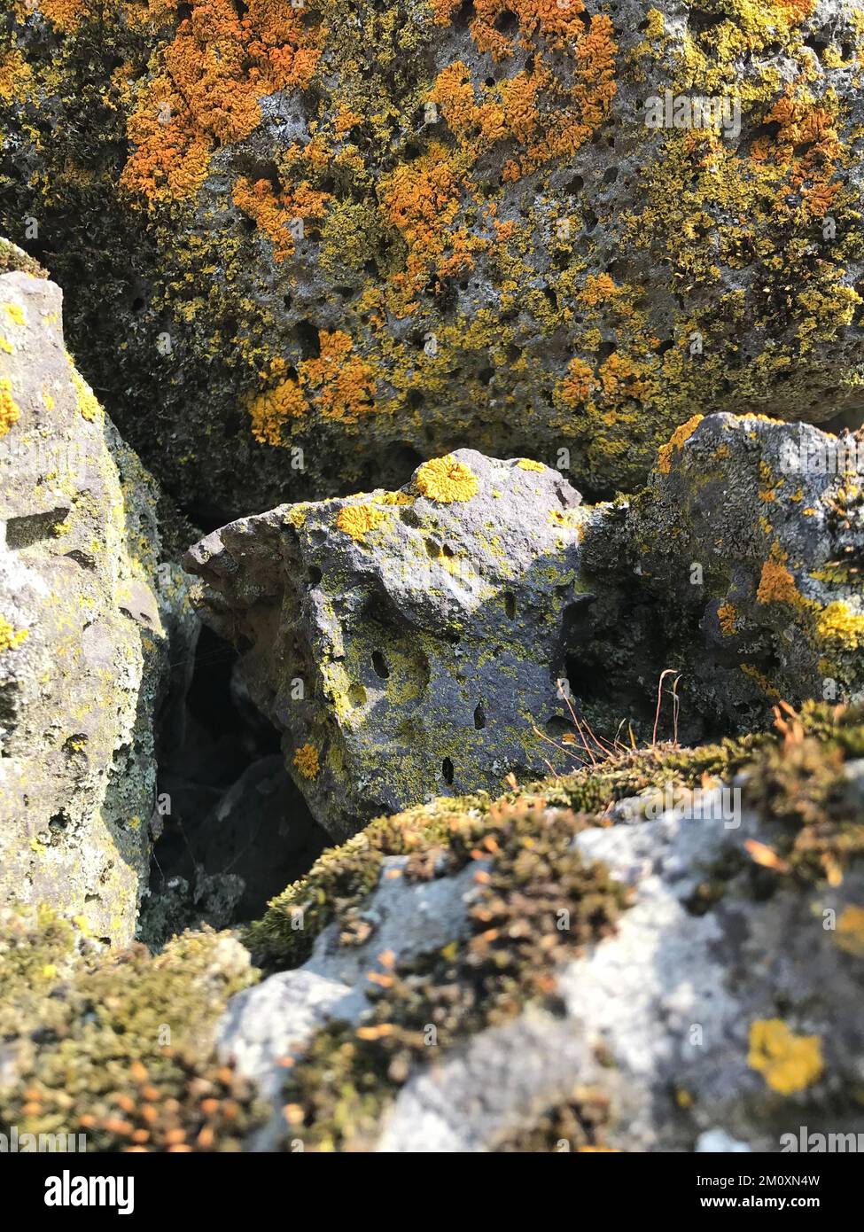 A Closeup of huge rocks covered with moss and grass under the sun Stock ...