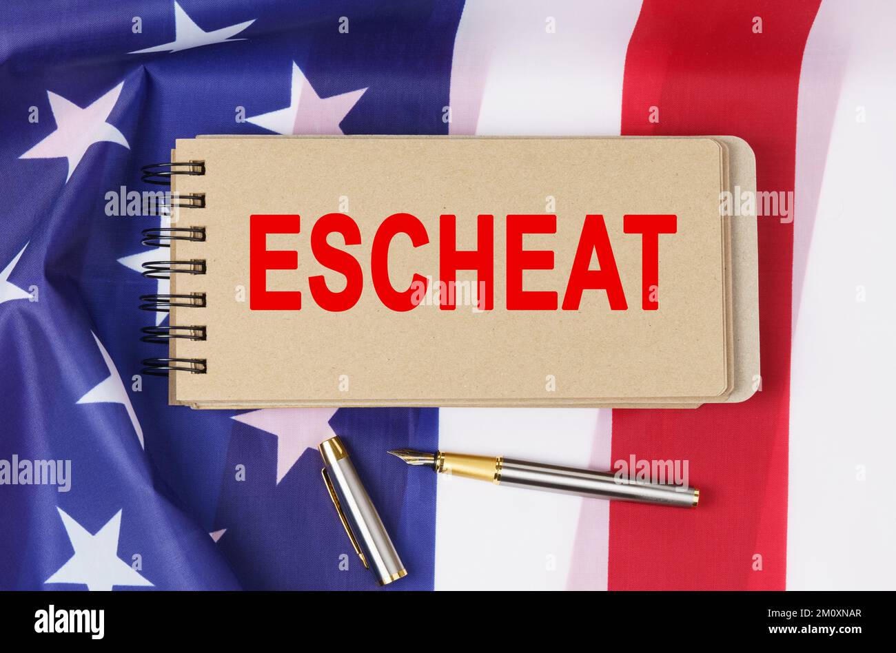 Law and order concept. Against the background of the flag of the United ...