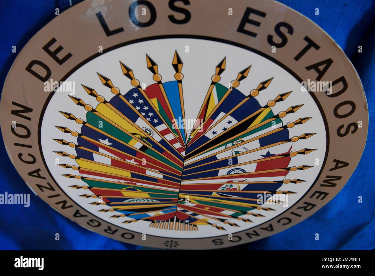 Logo of the Organization of the Amarican State(OAS) during an ...