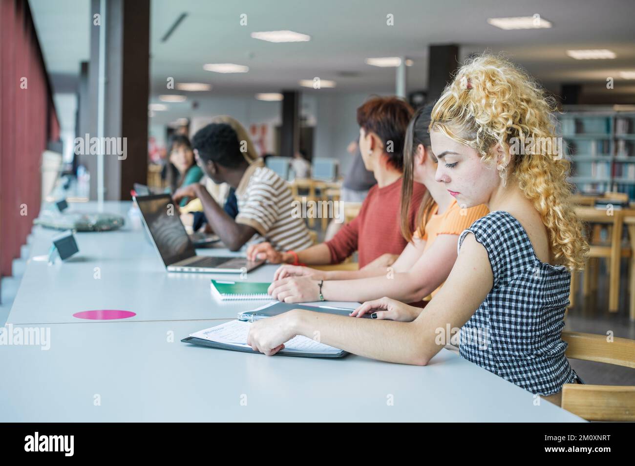 Group of students from diverse backgrounds in the library sharing notes ...