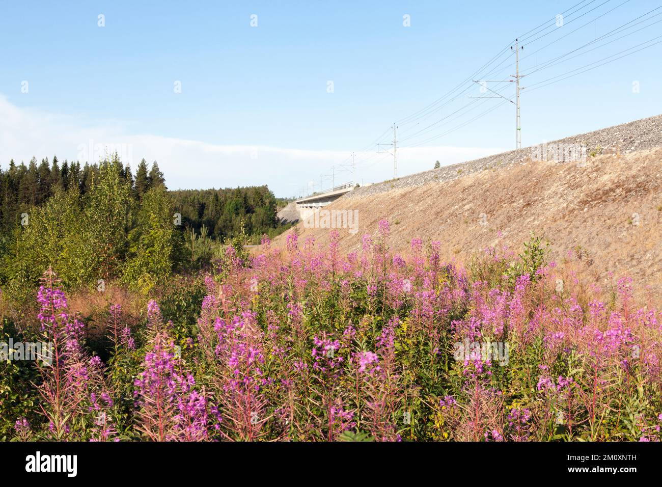 The Bothnia Line, railway Nyland to Umea. Modern, newly built High ...