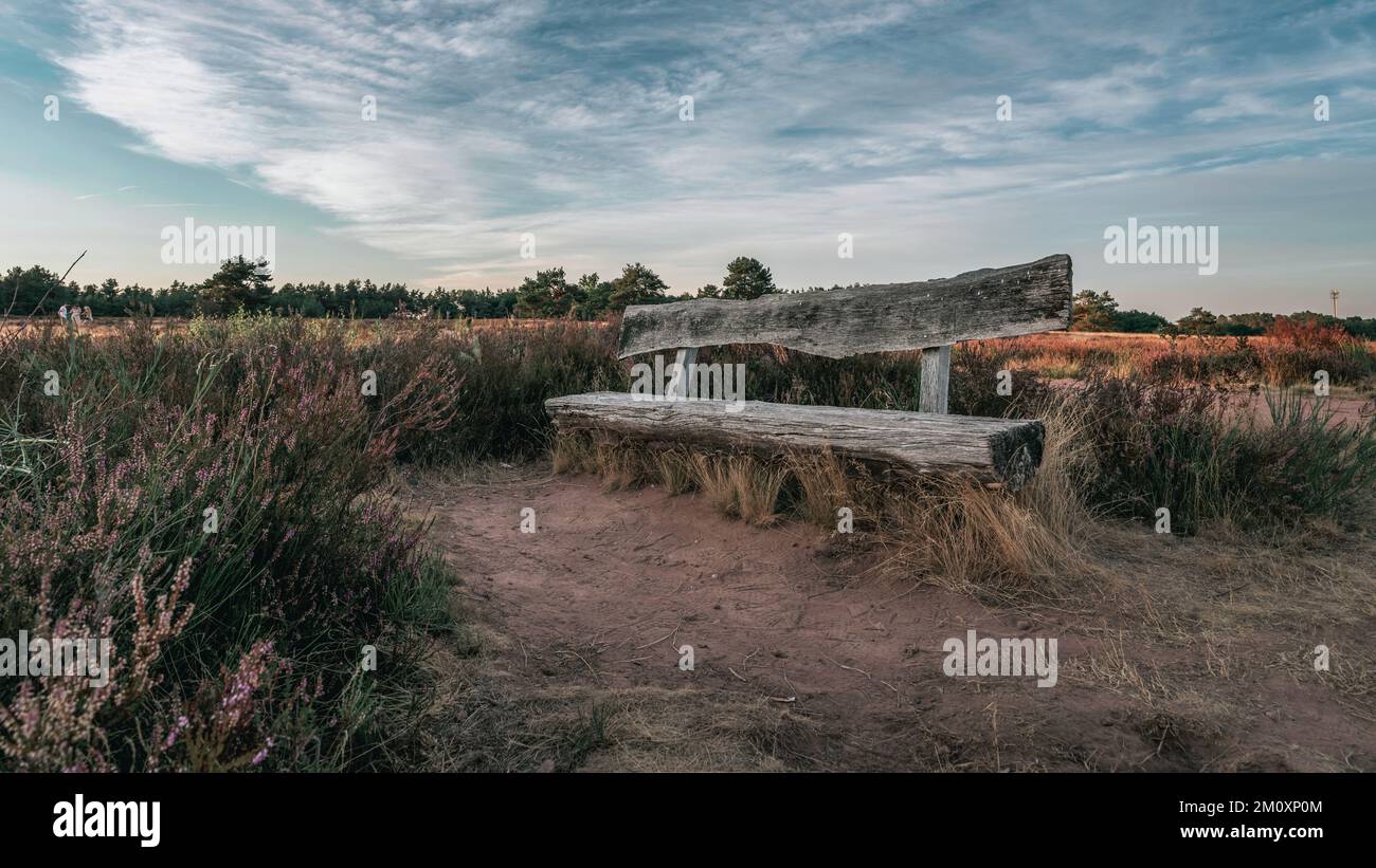 An old wooden bench on a rural field under a bright sky in the ...
