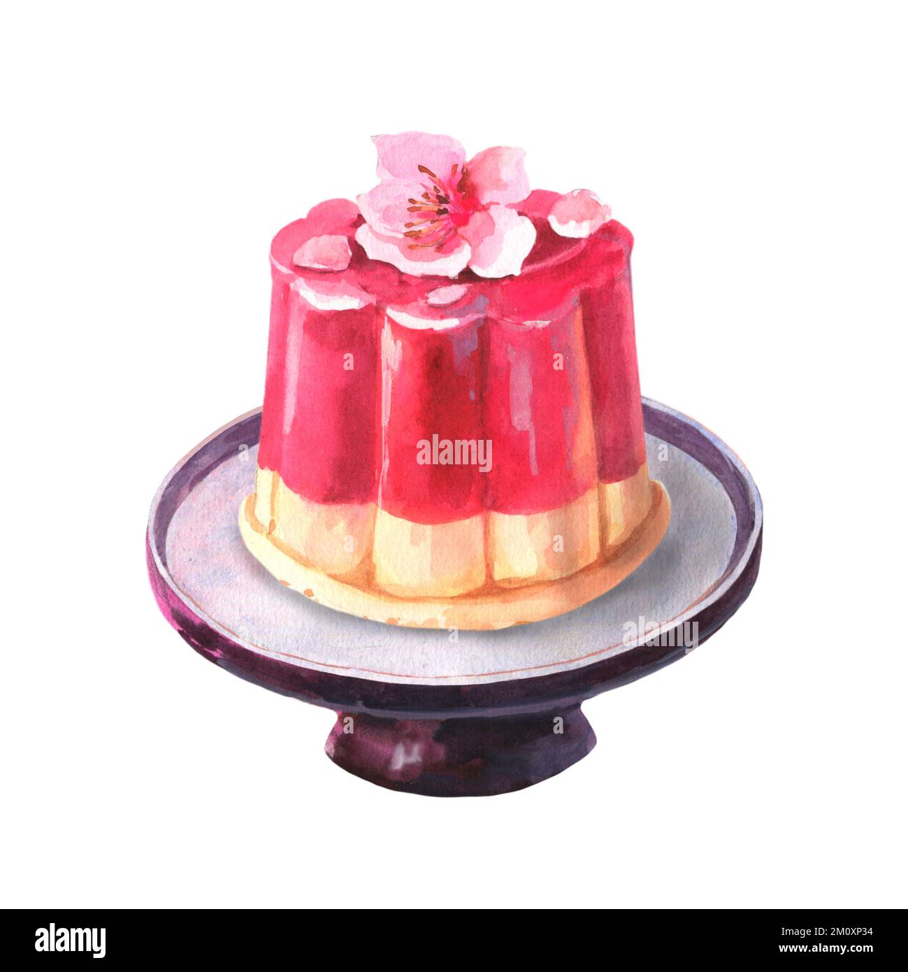 Watercolor japanese confectionery, edible flower Sakura in jelly on ...