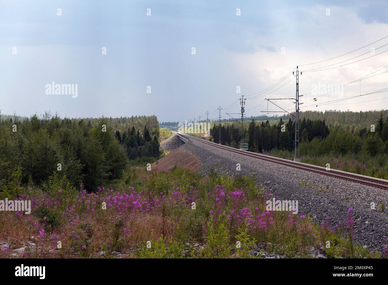 The Bothnia Line, railway Nyland to Umea. Modern, newly built High ...