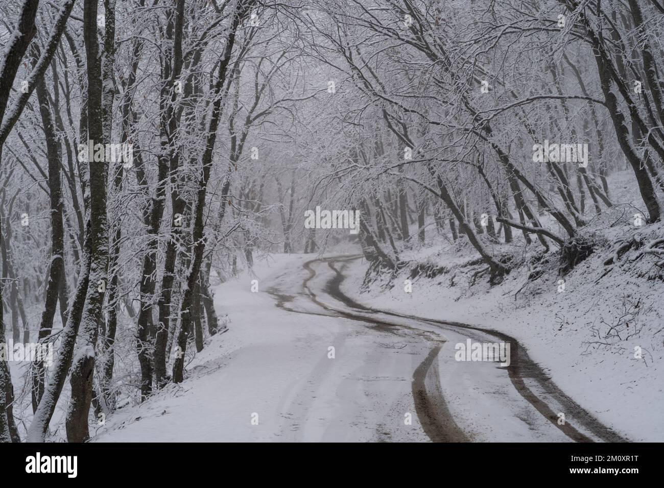 Car driveway fog hi-res stock photography and images - Alamy