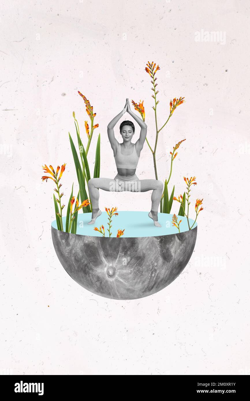 Creative photo 3d collage artwork poster picture of young woman hobby ...